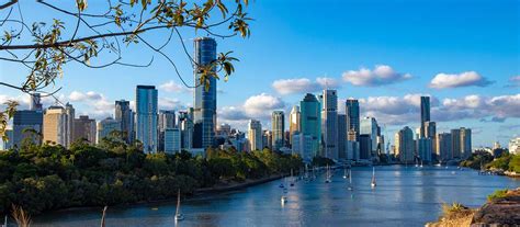 Sabes dónde vivir en Brisbane Australia Dingoos