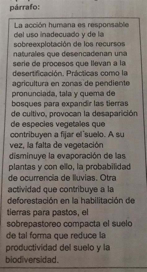 Cual Seria La Idea Principal Y Secundaria Nivel Inferencial
