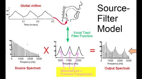 speech acoustics 4 source filter model youtube