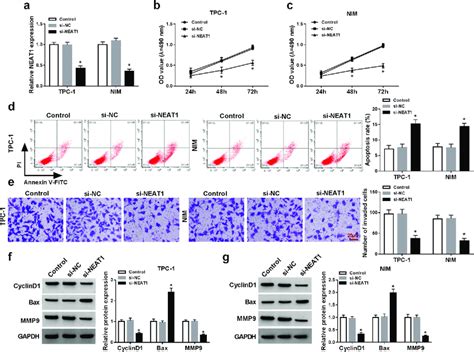 NEAT1 Knockdown Inhibited PTC Cell Malignant Behaviors PTC Cells