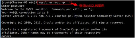 搭建mysql数据库平台 grep libiao csdn博客