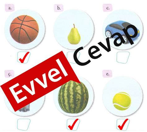 3 Sınıf Fen Bilimleri Tuna Yayınları Ders Kitabı Cevapları Sayfa 32