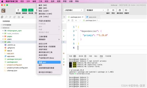 微信小程序中使用 npm 包 微信小程序使用npm包 csdn博客