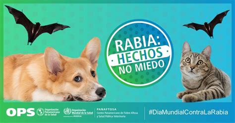 Día Mundial Contra la Rabia 2021 OPS OMS Organización Panamericana