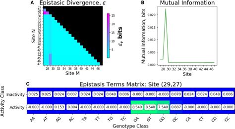 discovering pathways through ribozyme fitness landscapes using information theoretic