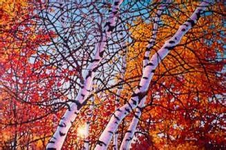 Canada S Largest Gallery Of Art Koyman Galleries