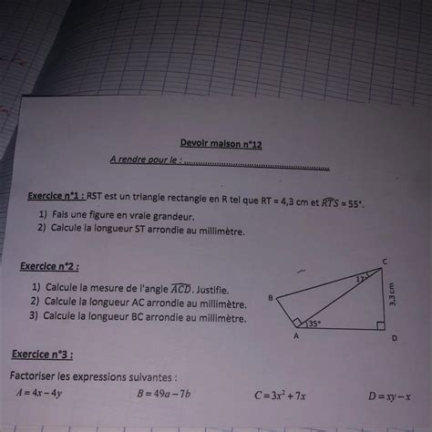 Qui peut maider svp je dois le rendre vendredi je suis bloqué au 1 de