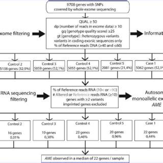 Breakdown Of The Experimental Protocol Including Bioinformatics