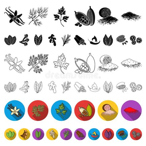 Herb And Spices Flat Icons In Set Collection For Design Different Kinds
