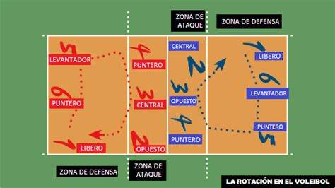 Las Zonas Las Posiciones Y Los Roles De Los Jugadores Voleibol NBKomputer
