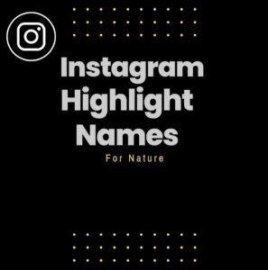 310 Unique Instagram Highlight Names Ideas 2024
