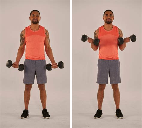 Comment faire le curl biceps avec haltères This Unruly