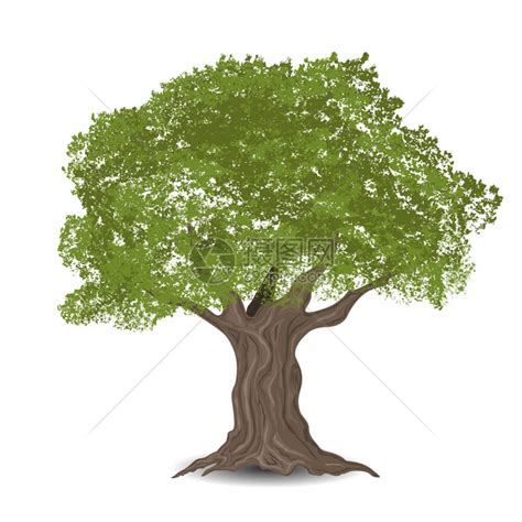 树剪贴画的剪贴画插图插画图片下载 正版图片402297130 摄图网