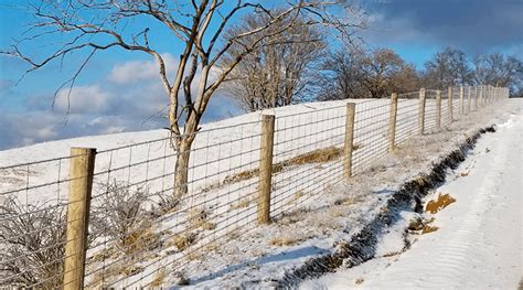Fence Post Spacing A Step By Step Guide Edu Svet Gob Gt