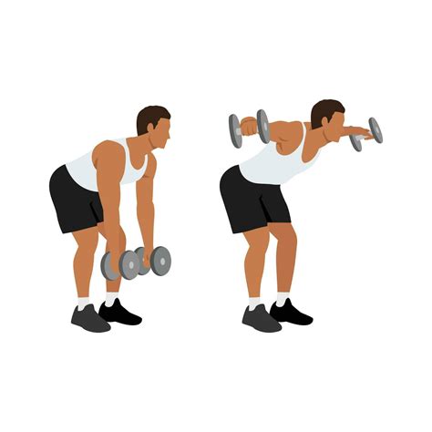 Man Doing Dumbbell Bent Over Reverse Flyes Flat Vector Illustration