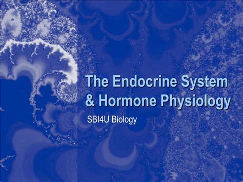 PPT The Endocrine System Hormone Physiology PowerPoint Presentation
