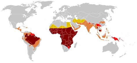 Epidemie nel mondo quali sono le malattie più diffuse