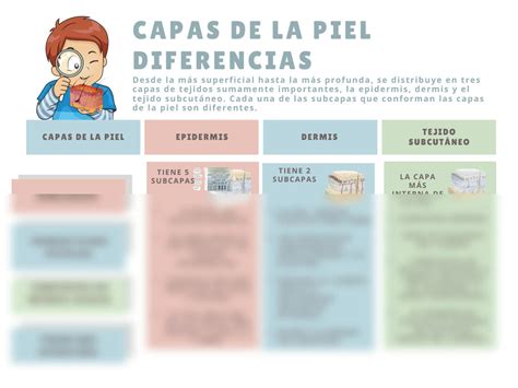 Solution Cuadro Comparativo Capas De La Piel Studypool The Best Porn