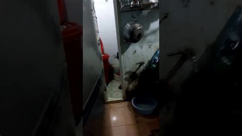 Quay lén ông hàng xóm tắm YouTube