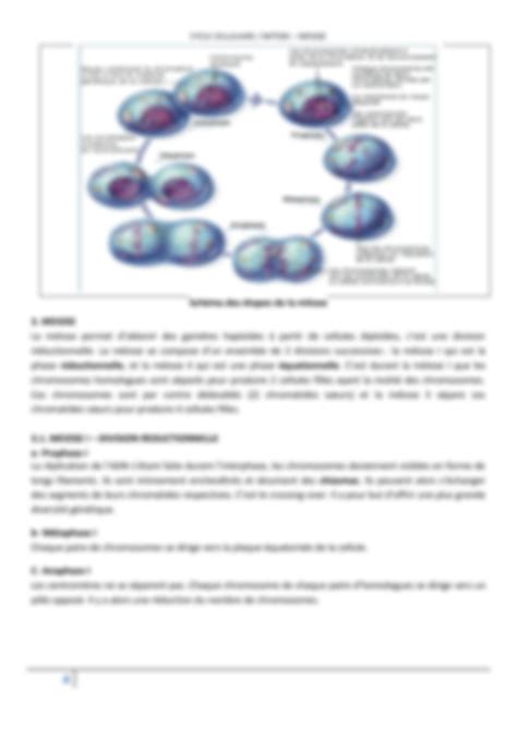 Solution Cours Le Cycle Cellulaire Complet Studypool