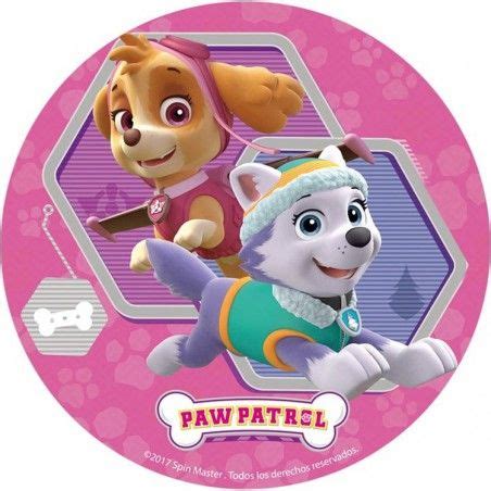 Centro De Mesa Patrulha Canina Rosa Skyie E Everest Png F3C Paw