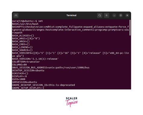 How To List And Set Environment Variables In Linux Scaler Topics
