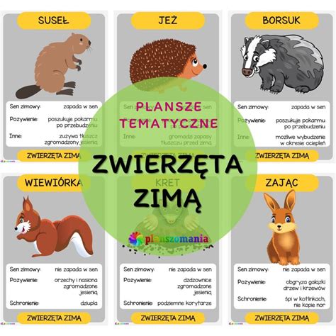 Zwierzęta zimą zestaw plansz tematycznych nr 48 pomoce edukacyjne PDF