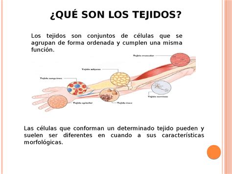 Quizizz