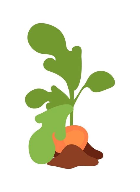 Planta De Camote Objeto Vectorial De Color Semi Plano 3431265 Vector En