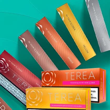 Iqos Terea Aroma Çeşitleri Bergindo iqos iluma prime terea heets