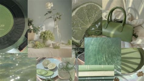Elegant Sage Green Laptop Wallpaper