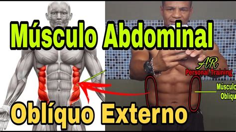 COMO TREINAR OS MÚSCULOS ABDOMINAL OBLÍQUO EXTERNO YouTube