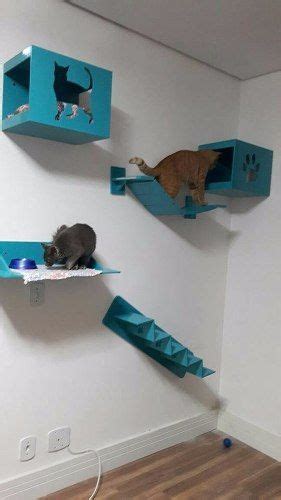 Nicho Playground Para Gato Escada Prateleira Lua E Ponte R