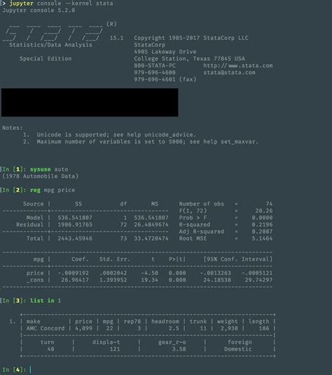 Jupyter Console Stata Kernel