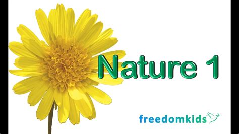 Naturist Freedom Embracing A Lifestyle Of Body Positivity And