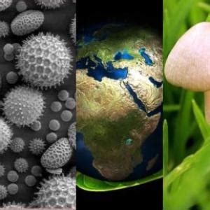 BIOLOGIA I Trivias Juego educativo Biología Mobbyt