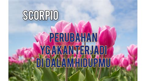 Scorpio Perubahan Yg Akan Terjadi Di Dalam Hidupmu Untuk 3 Bulan Ke