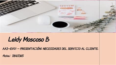 Aa Ev Presentaci N Necesidades Del Servicio Al Cliente