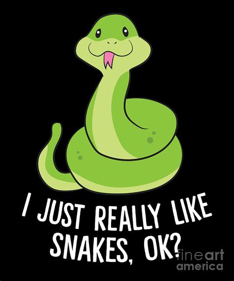 I Just Really Like Snakes Ok Funny Snake Reptile Python Digital Art By
