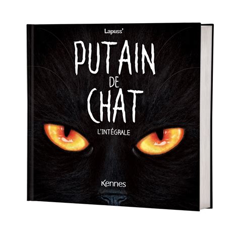 Putain de chat L intégrale Kennes Les 3 AS
