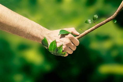 Rapporto Uomo Natura Alla Ricerca Di Un Futuro Possibile Di Dario