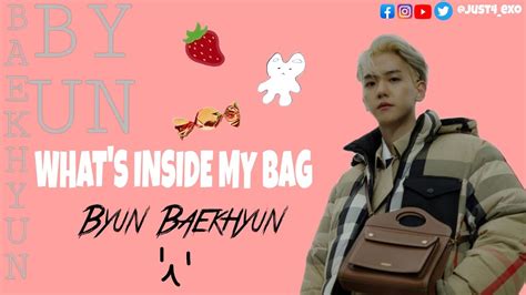 2 9 What S Genius Idol Byun Baekhyun Hiding Inside His Bag Exo Exol
