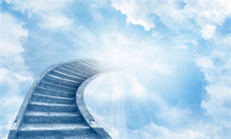 Quiero Ir Al Cielo Amor Paz Y Caridad Amalia D S