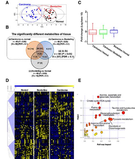Figure 1 From Global Metabolic Profiling Identifies A Pivotal Role Of