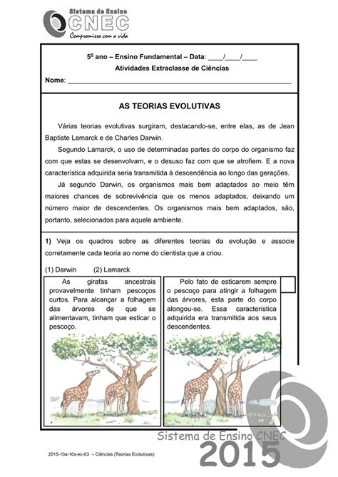 2ª Atividade Extraclasse 5º ano semana 10 Evolução das espécies