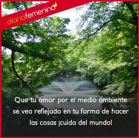 Frases Para El D A Del Medio Ambiente Cuida Del Mundo