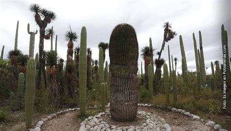 Valle Tehuac N Cuicatl N Do Bien Mixto Patrimonio Mundial