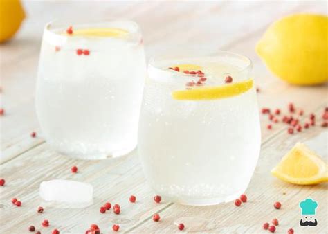 Receita de gin tônica saiba como fazer 10 drinks fáceis