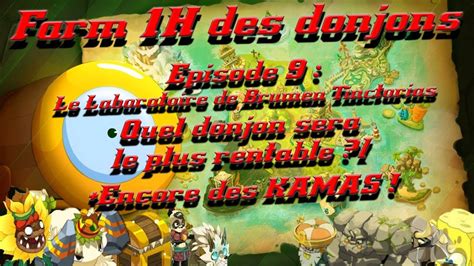 DOFUS FARM 1H DONJON 9 5M H LA TEAM CRA SOUS UNE PLUIE DE KAMAS