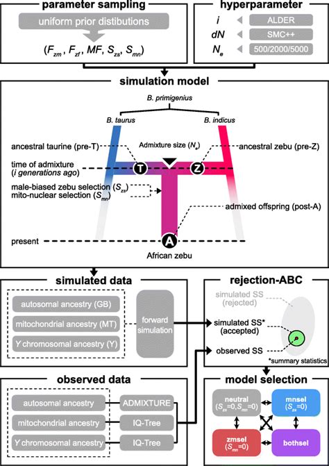 scheme of the approximated bayesian computation the diagram describes download scientific